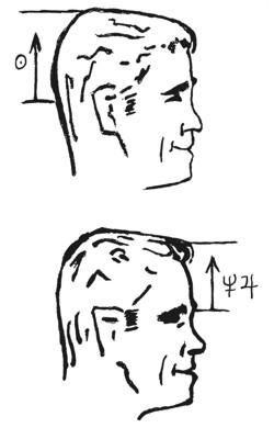 light.org | Significance of Body and Head